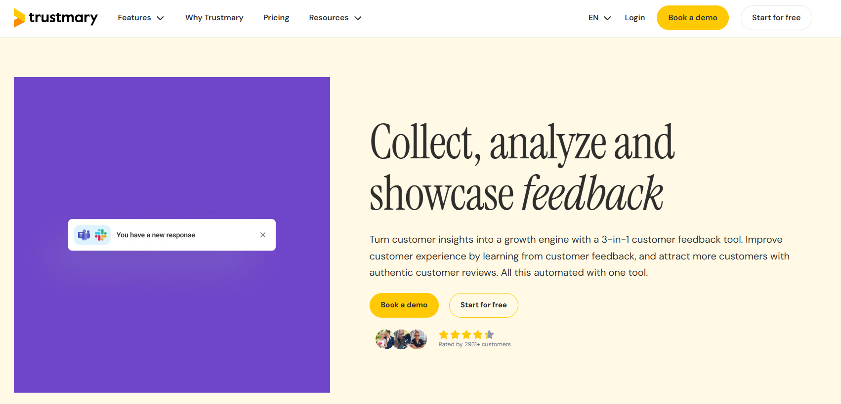 10 Best WordPress review plugins for 2026